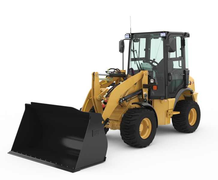 BCP Offer | Mustang Cat